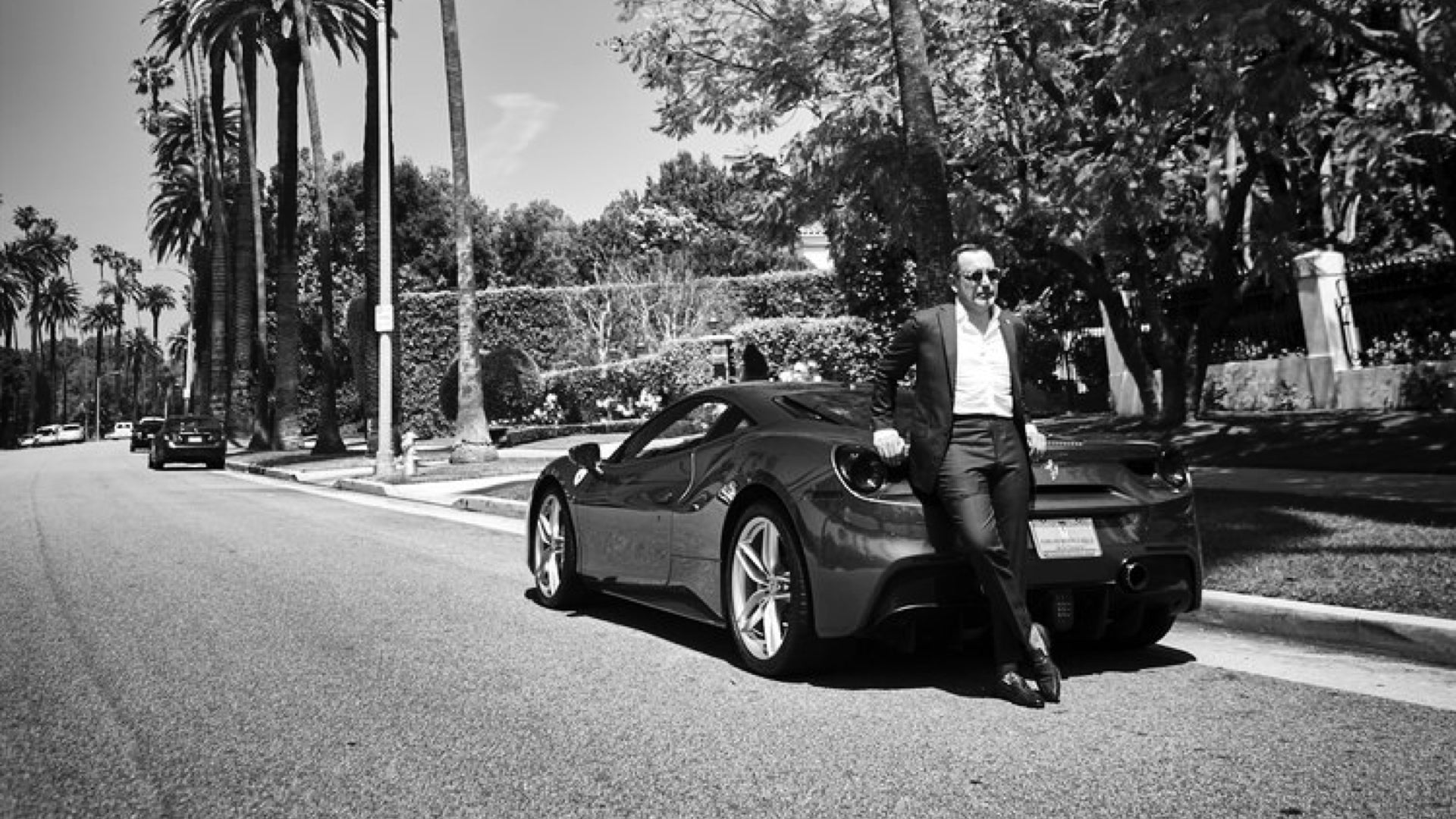 IL CAVALLINO RAMPANTE – Denis Frison